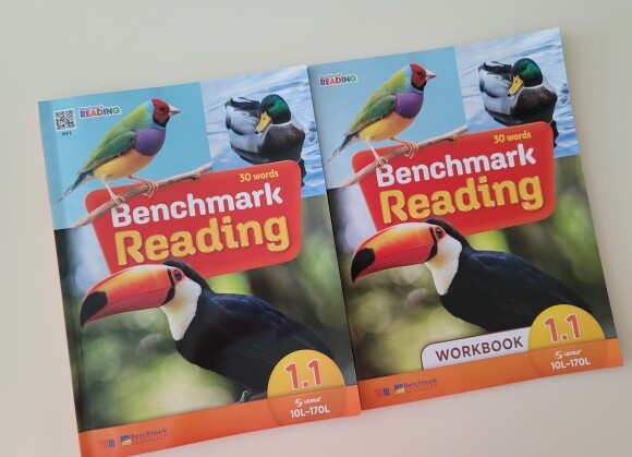 Benchmark Reading 1.1