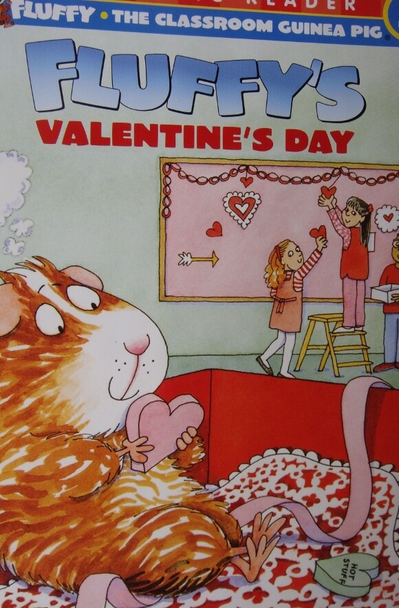 Scholastic Leveled Readers 3-4 : Fluffy's Valentine's Day