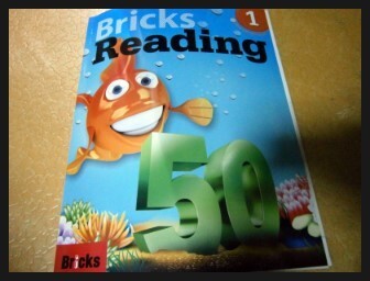 Bricks Reading 50 1