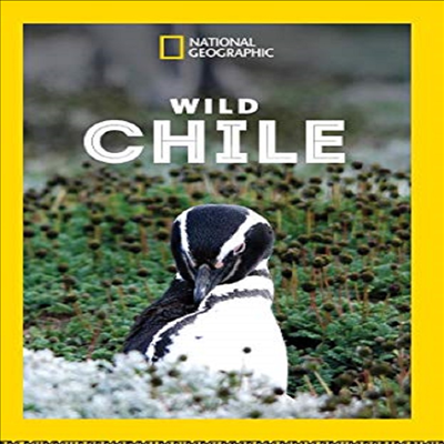 Wild Chile (와일드 칠레) (지역코드1)(한글무자막)(DVD-R) - YES24