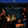 Young Sheldon: The Complete Second Season (영 셸든: 시즌 2) (2018)(한글무자막 ...