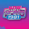 NOW 레이블 80년대 팝송 모음집 (NOW 12 Inch 80s: 1981) - 예스24