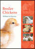 Broiler Chickens Welfare in Practice - 예스24