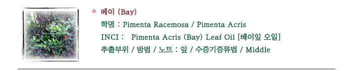 베이 (Bay / Pimenta Acris, Pimenta Racemosa)