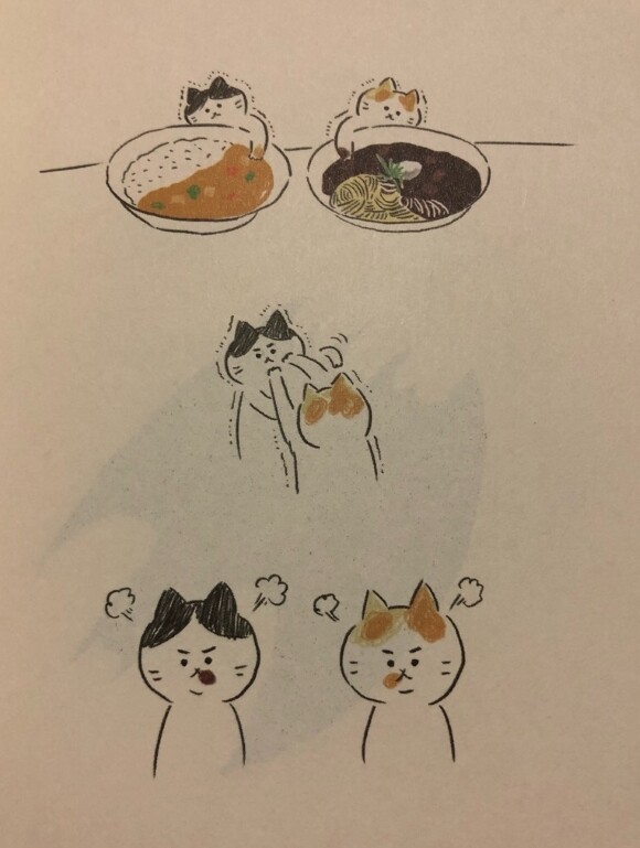 - 퇴근 후 고양이랑 한 잔 - 사락리뷰
