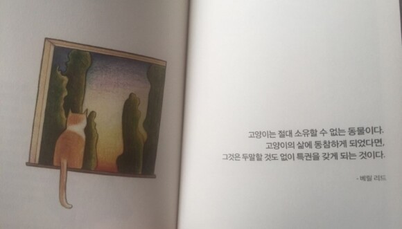 - 블루진 / 두번째 이야기 / 고양이