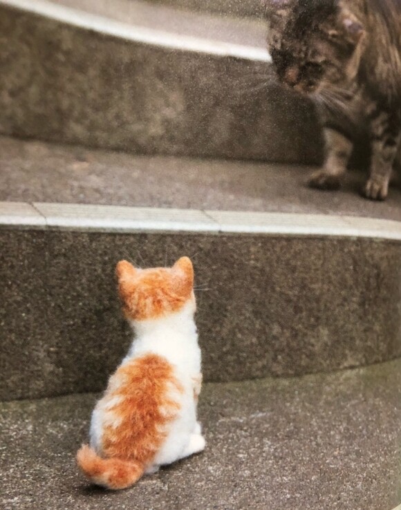 - 탐나는 손재수, 귀여운 고양이들