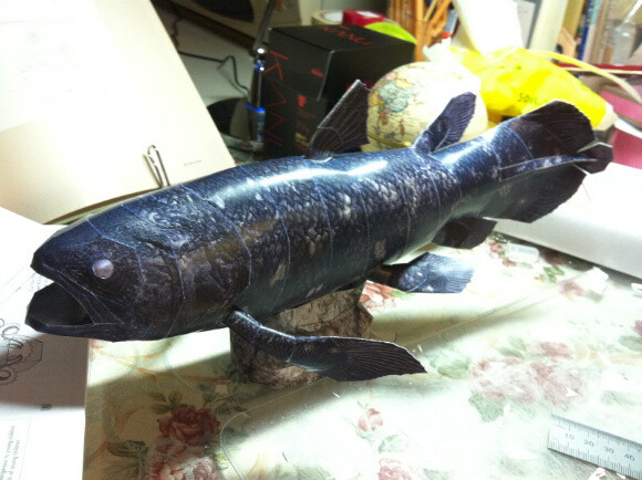 [Paper-Craft] Coelacanth - 사락포스트