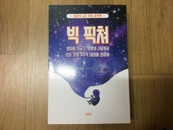 [서평] 빅피쳐 - 사락리뷰