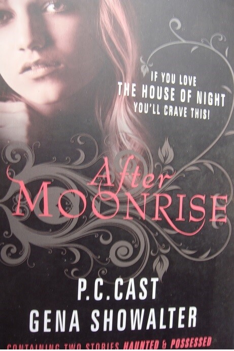 After Moonrise - 사락리뷰