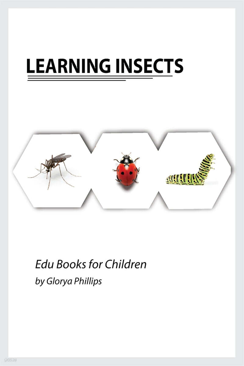 Learning Insects: Montessori real insects book for babies and toddlers ...