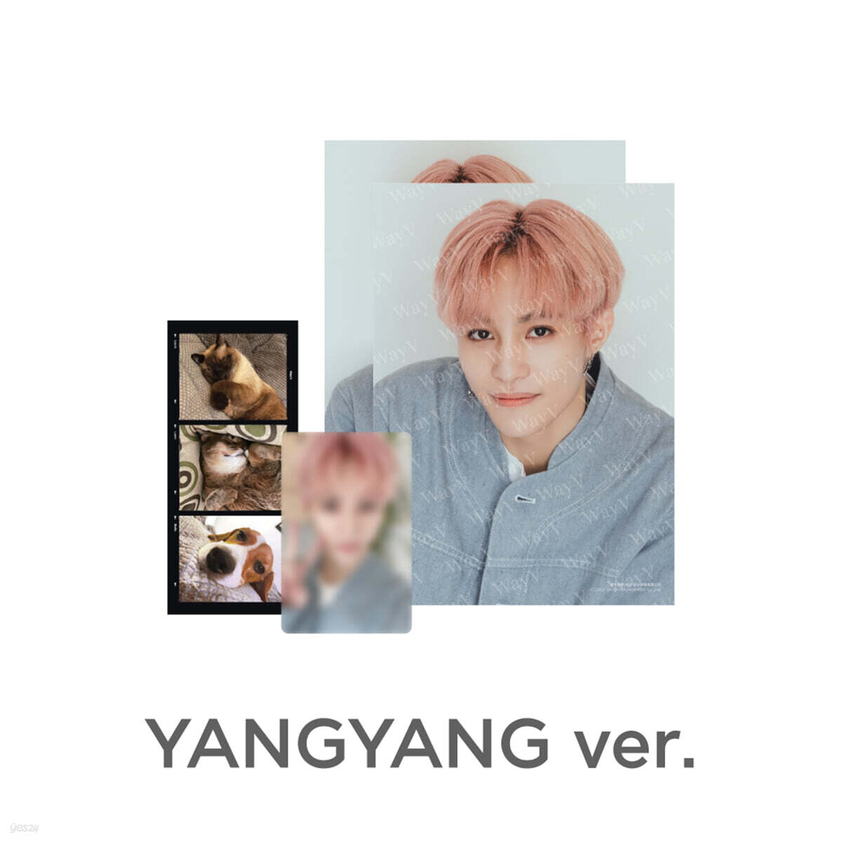 [YANGYANG] PHOTO PACK [Our Home : WayV with Little Friends] - YES24