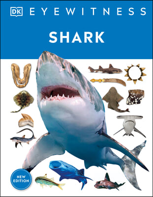 Eyewitness Shark: Dive Into the Fascinating World of Sharks - 예스24