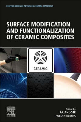 Surface Modification and Functionalization of Ceramic Composites - 예스24