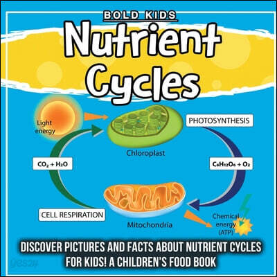 Nutrient Cycles: Discover Pictures and Facts About Nutrient Cycles For ...