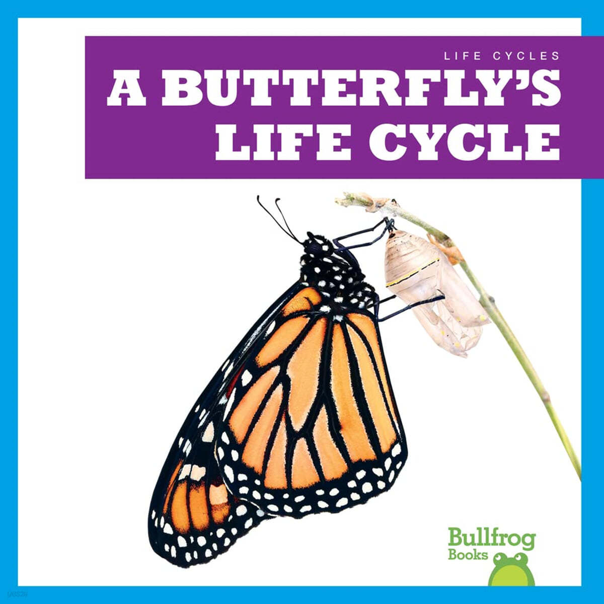 A Butterfly's Life Cycle - 예스24