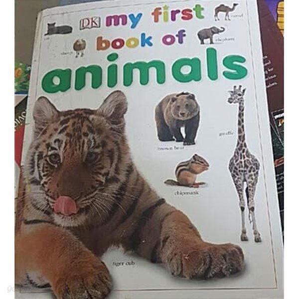 [중고샵] My First Book of Animals - 예스24