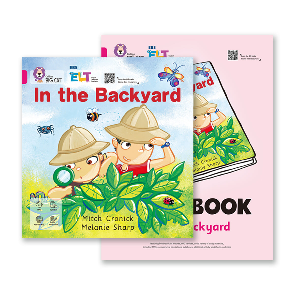 EBS ELT - Big Cat (Band 1) IN THE BACKYARD - 예스24