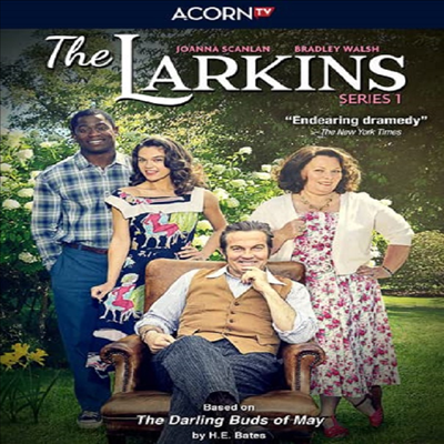 The Larkins: Series 1 (더 라킨스: 시리즈 1) (2021)(지역코드1)(한글무자막)(DVD) - 예스24