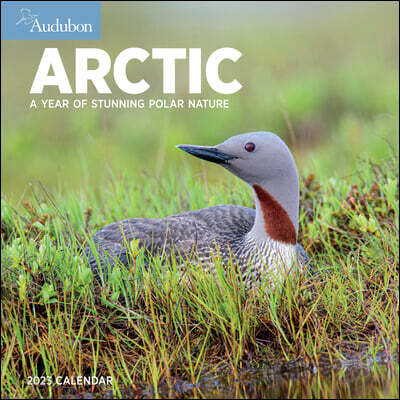 Audubon Arctic Wall Calendar 2023 - 예스24
