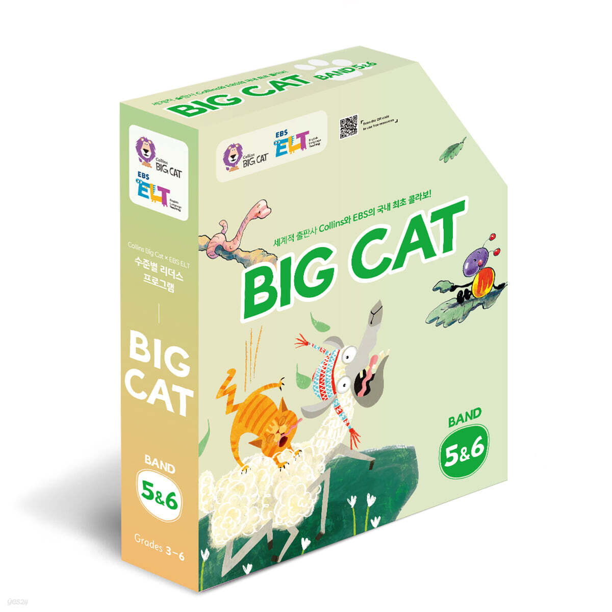 EBS ELT - Big Cat (Band 5/Band 6) Full Package - 예스24