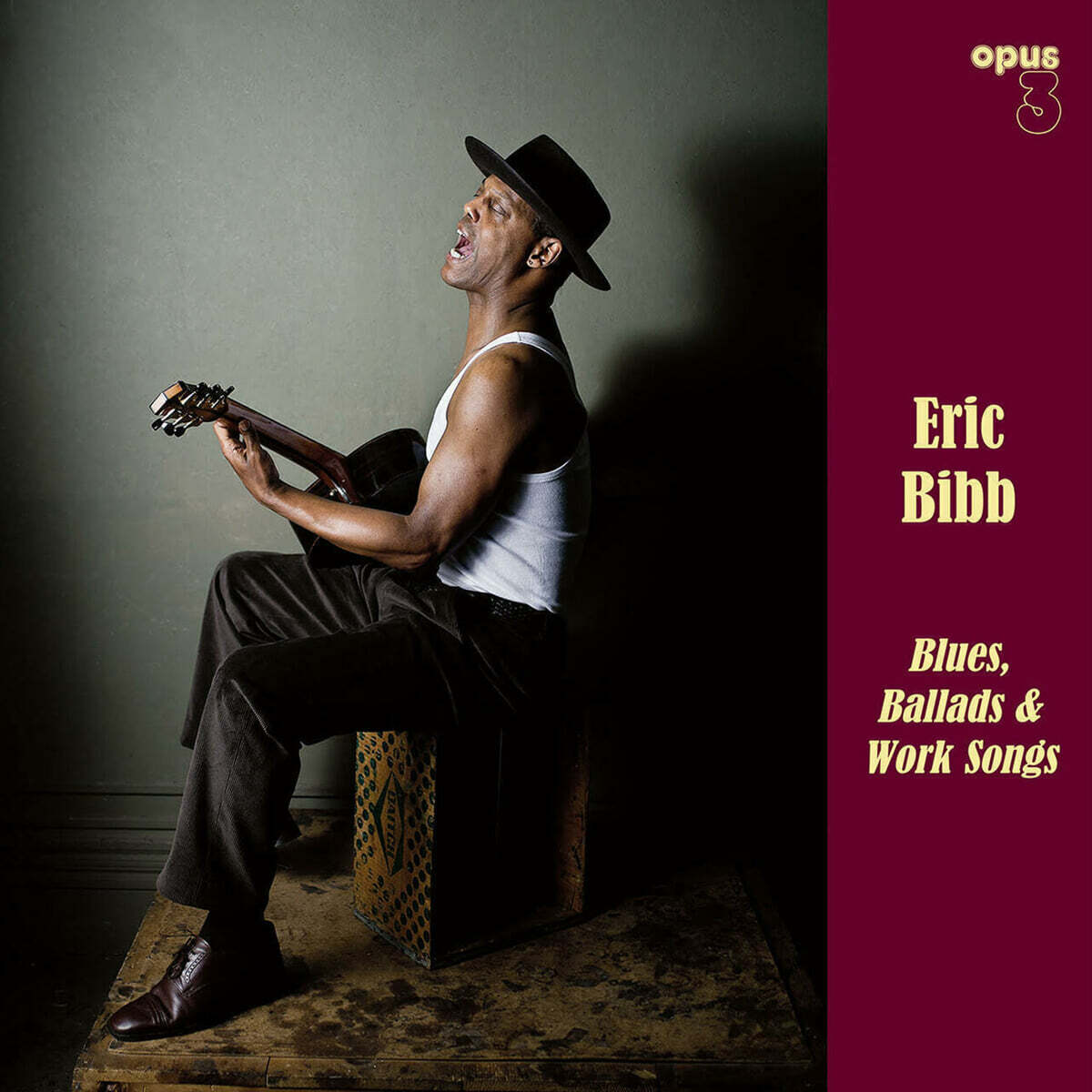 Eric Bibb (에릭 빕) - Blues, Ballads & Work Songs [LP] - 예스24