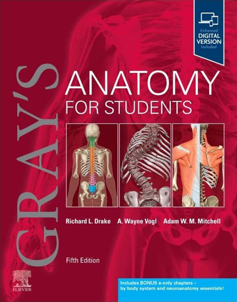 Gray's Anatomy for Students - 예스24