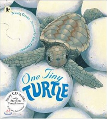 One Tiny Turtle - 예스24
