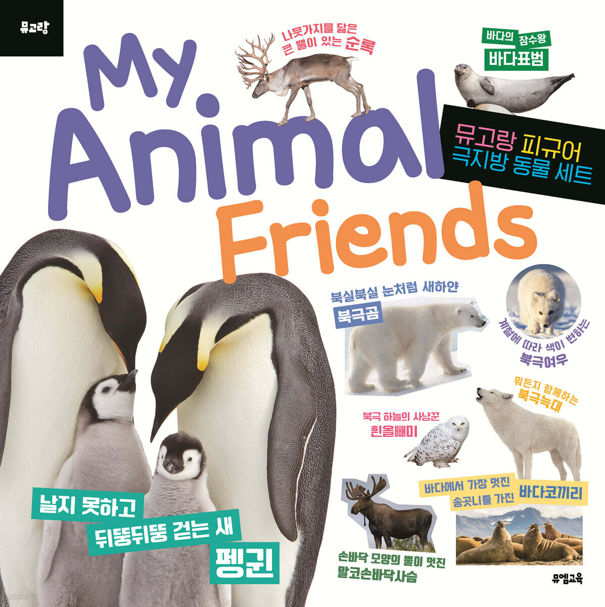 뮤고랑 My Animal Friends 극지방 동물 - 예스24