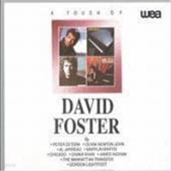 [중고샵] David Foster / A Touch Of David Foster (B) - 예스24