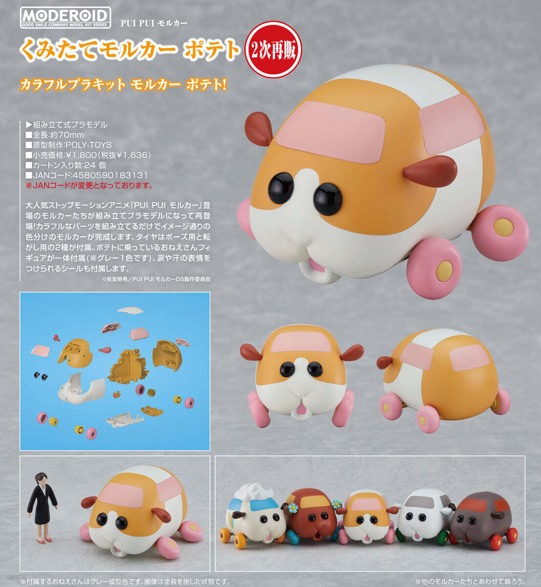 MODEROID PUI PUI モルカ- くみたてモルカ- ポテト - 예스24