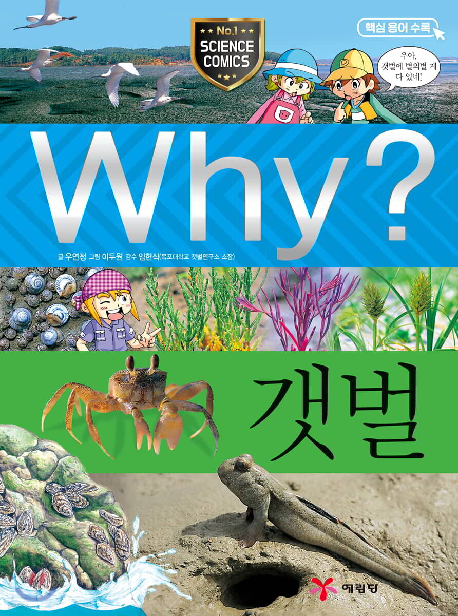 Why? 와이 갯벌 - YES24