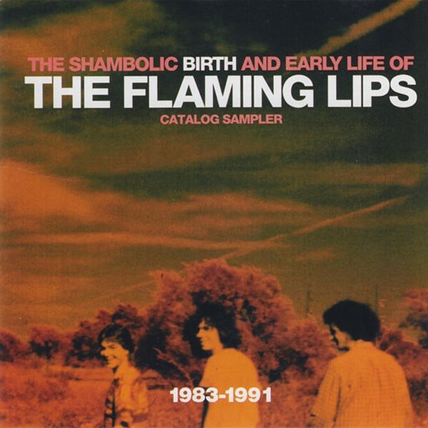 [중고샵] The Flaming Lips - The Shambolic Birth And Early Life Of The ...
