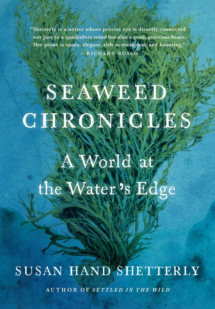 [전자책] Seaweed Chronicles | Susan Hand Shetterly | Algonquin Books - 예스24