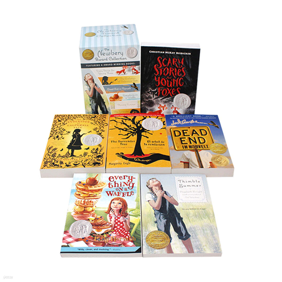 뉴베리 수상작 The Newbery Award Collection 6 Books Set - 예스24