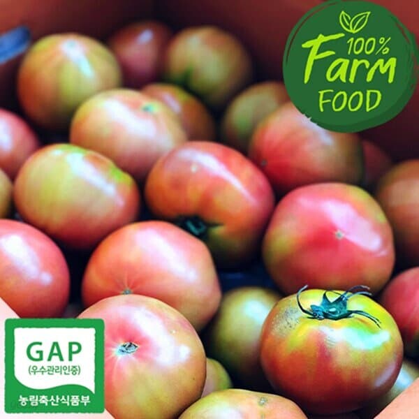 [잇츠팜] GAP인증 경주 안강토마토 5kg(중과/4~5번) - 예스24
