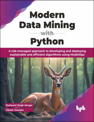 Modern Data Mining with Python: A Risk-Managed Approach to Developing ...