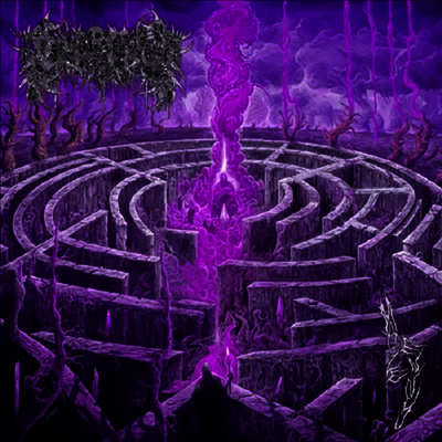 Civerous - Maze Envy (Ltd)(Purple/Magenta Colored LP) - 예스24