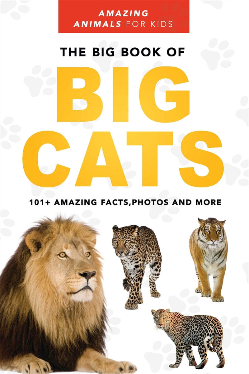 The Big Book of Big Cats - 예스24