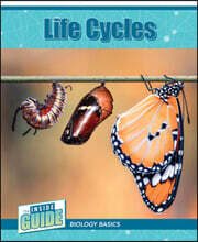 Life Cycles - 예스24