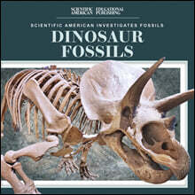 Dinosaur Fossils - 예스24