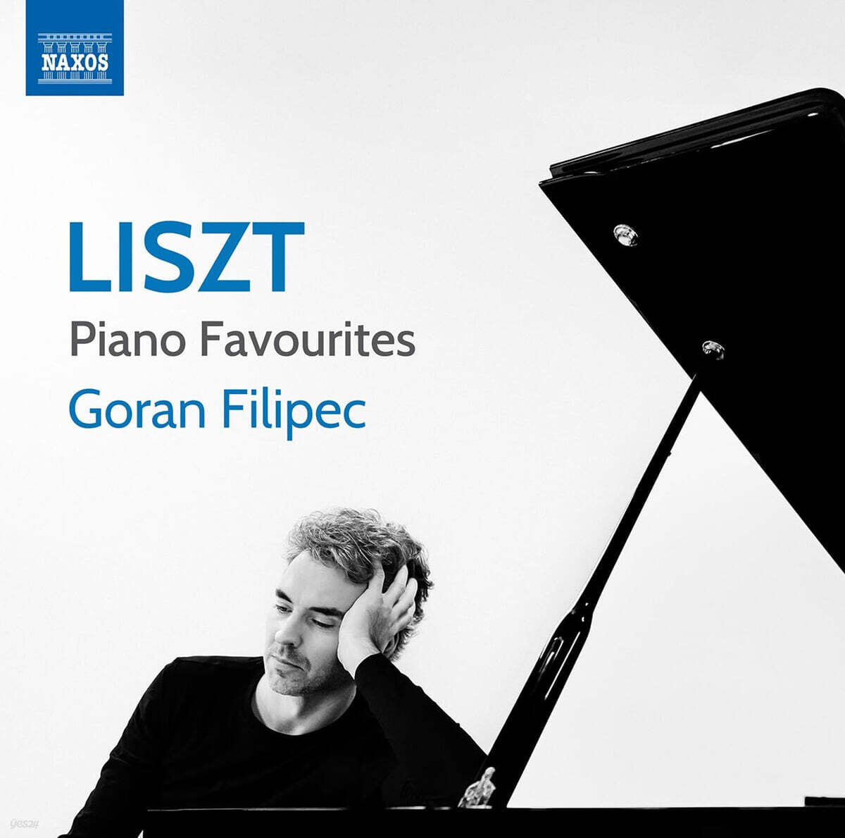 Goran Filipec 리스트: 피아노 인기곡 모음집 (Liszt: Piano Favourites) - 예스24