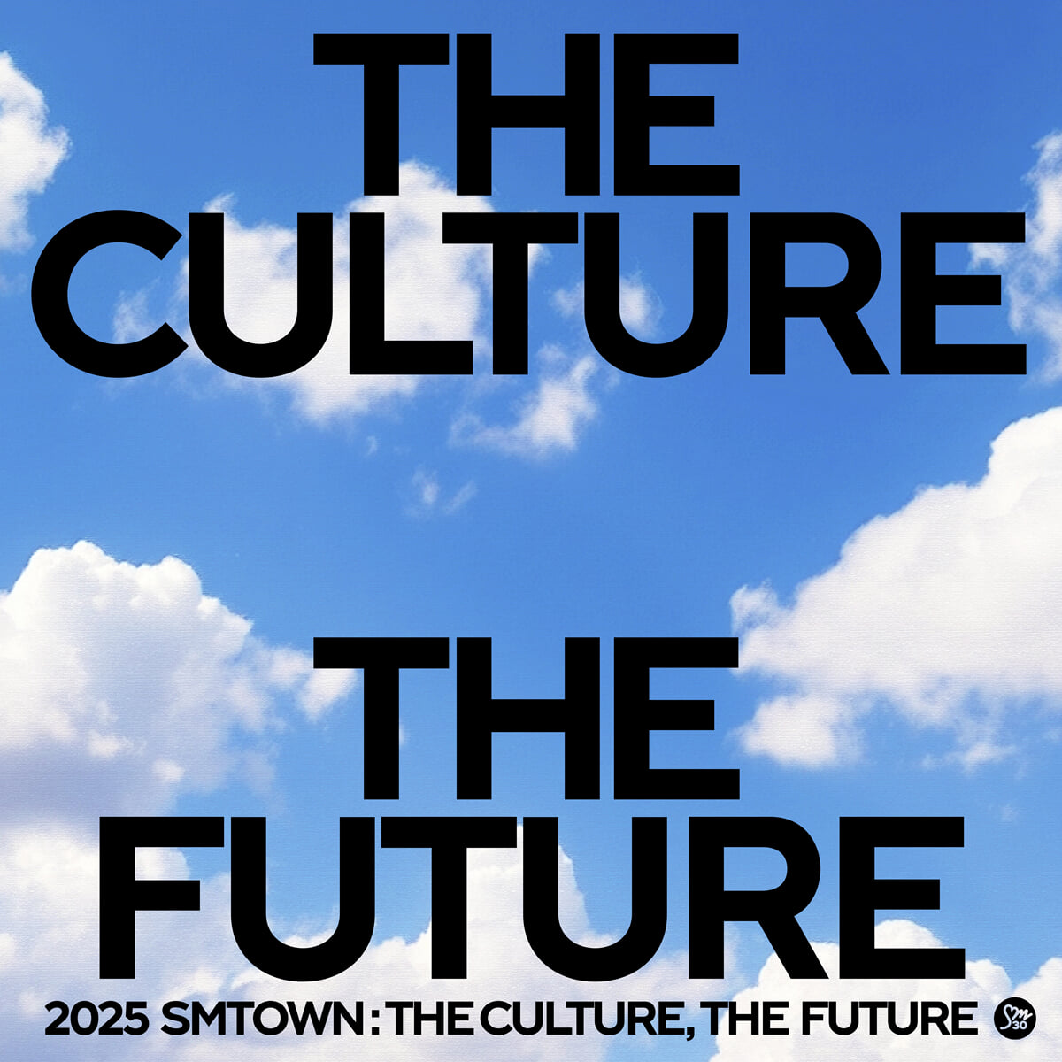 SMTOWN - 2025 SMTOWN : THE CULTURE, THE FUTURE [2LP] - 예스24