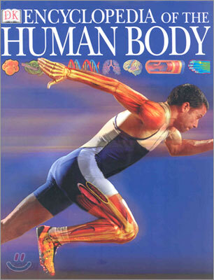 DK Encyclopedia of the Human Body | David Burnie | DK - 예스24