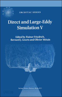 Direct and Large-eddy Simulation V - 예스24