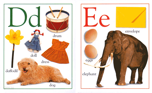 My First ABC Book (Board Book) - 예스24