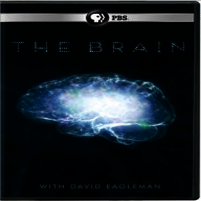The Brain With David Eagleman (더 브레인 위드 데이비드 이글맨)(지역코드1)(한글무자막)(DVD) - 예스24