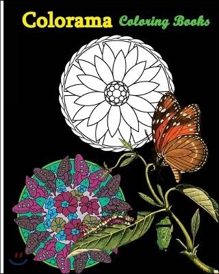 Colorama Coloring Books with Pencils: My First Adult Coloring Book ...
