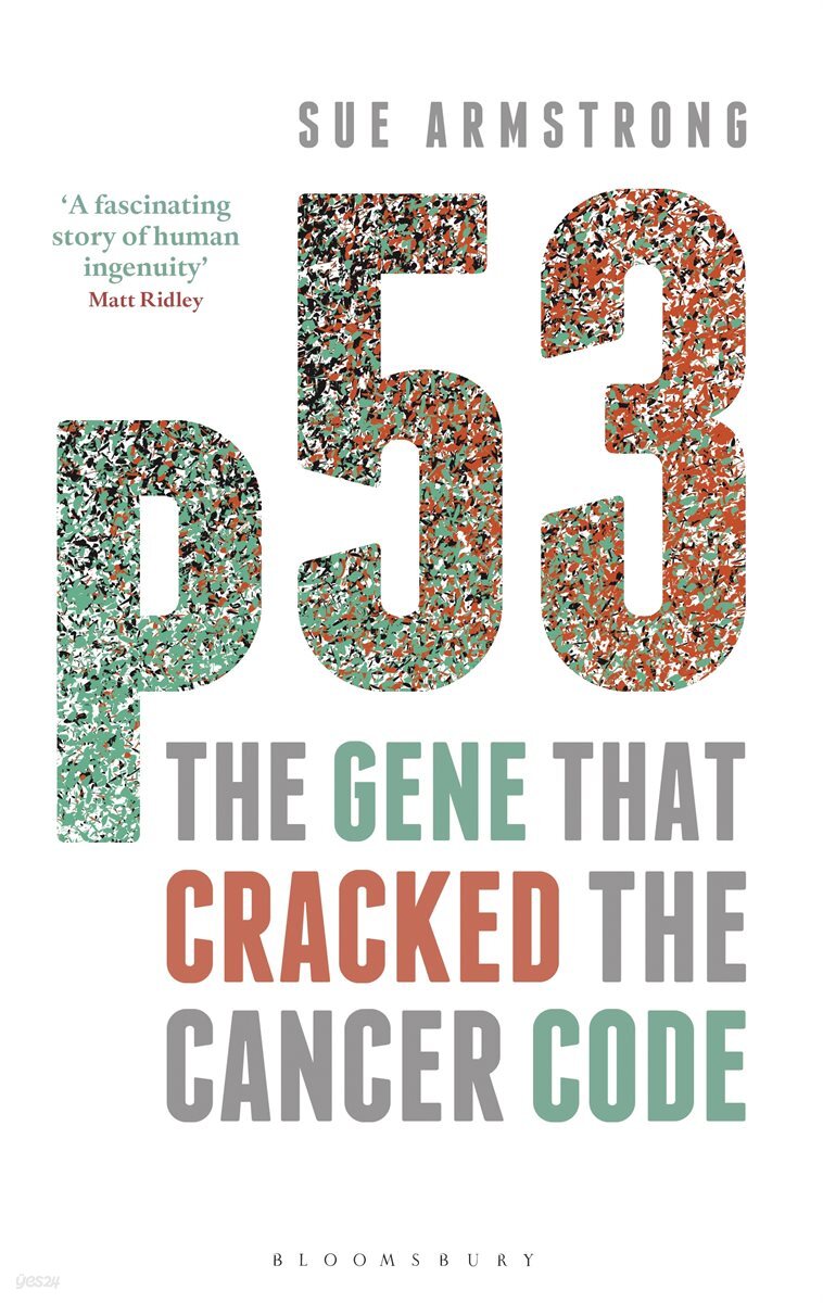 [전자책]p53 - 예스24