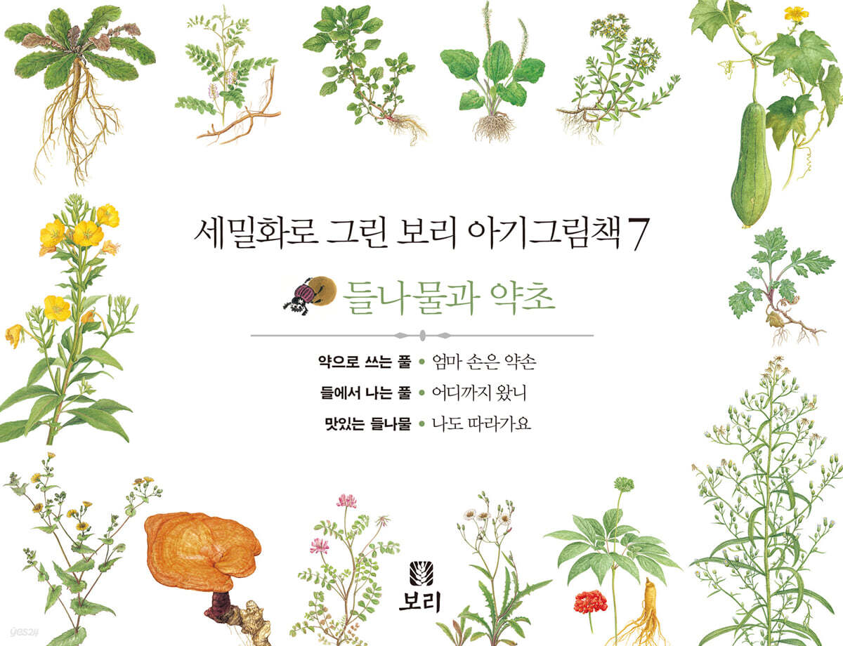 세밀화로 그린 보리 아기그림책 7 - YES24